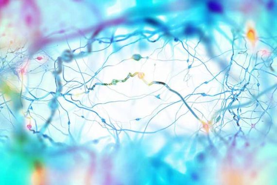 Understanding Endorphins, Your Body's Natural Painkiller